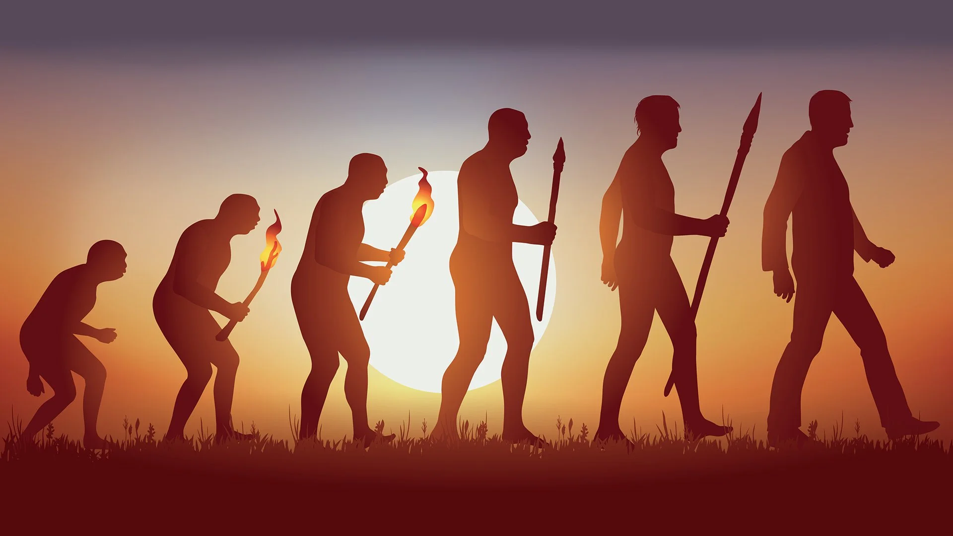 European Anthropological Association