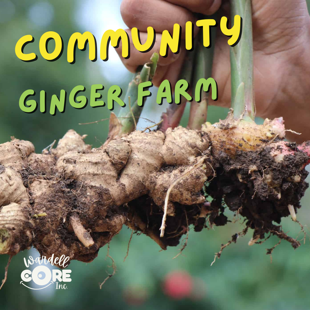 Home Harvest — WardellCORE