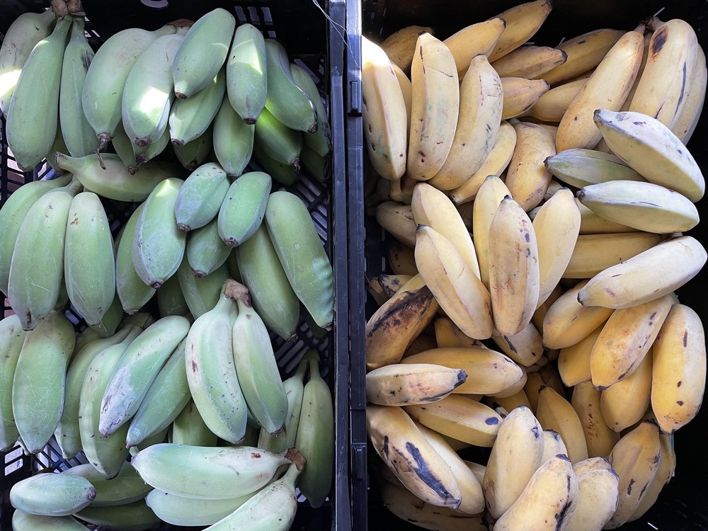 Eat Well Wardell — WardellCORE