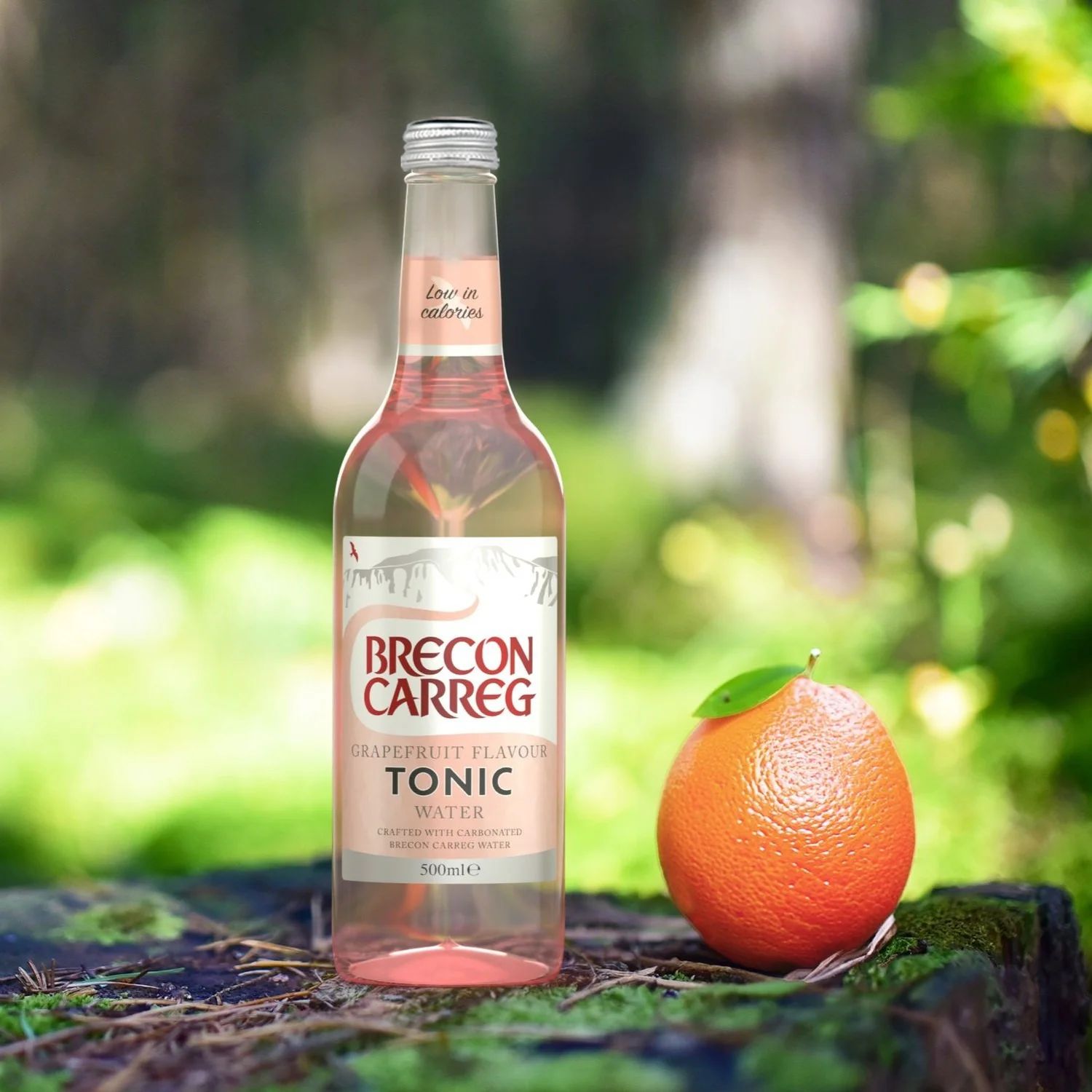 Brecon Carreg Tonics — Wonderland Design