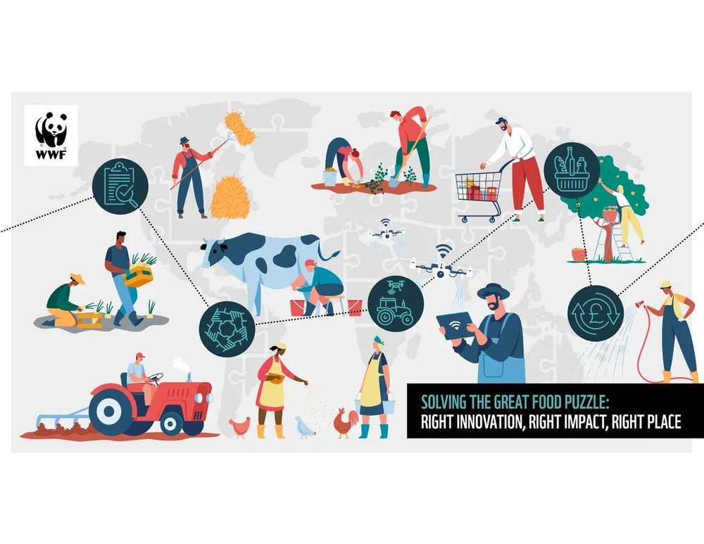 Solving the Great Food Puzzle: Right Innovation, Right Impact, Right ...
