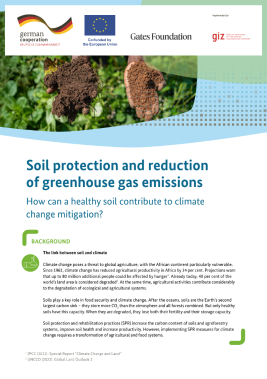 Soil protection and reduction of greenhouse gas emissions: How can a ...