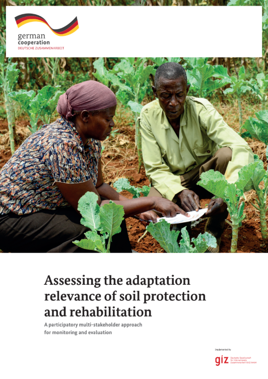 Assessing the adaptation relevance of soil protection and ...