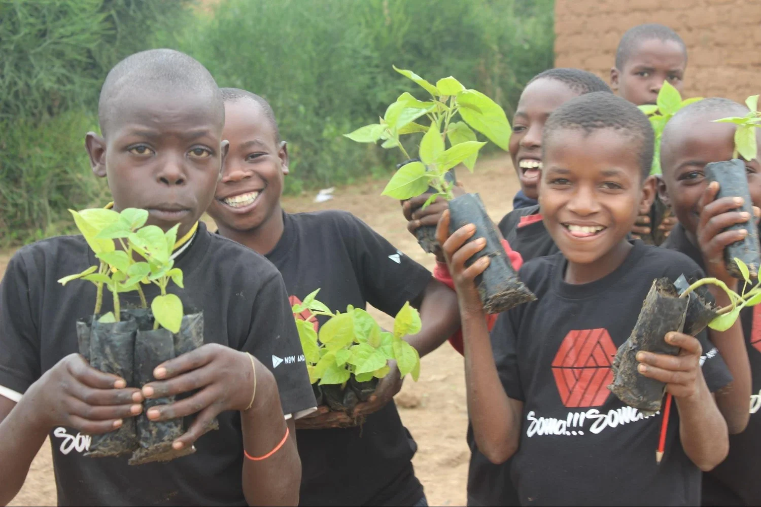 Soil Health Solutions — Coalition of Action for Soil Health