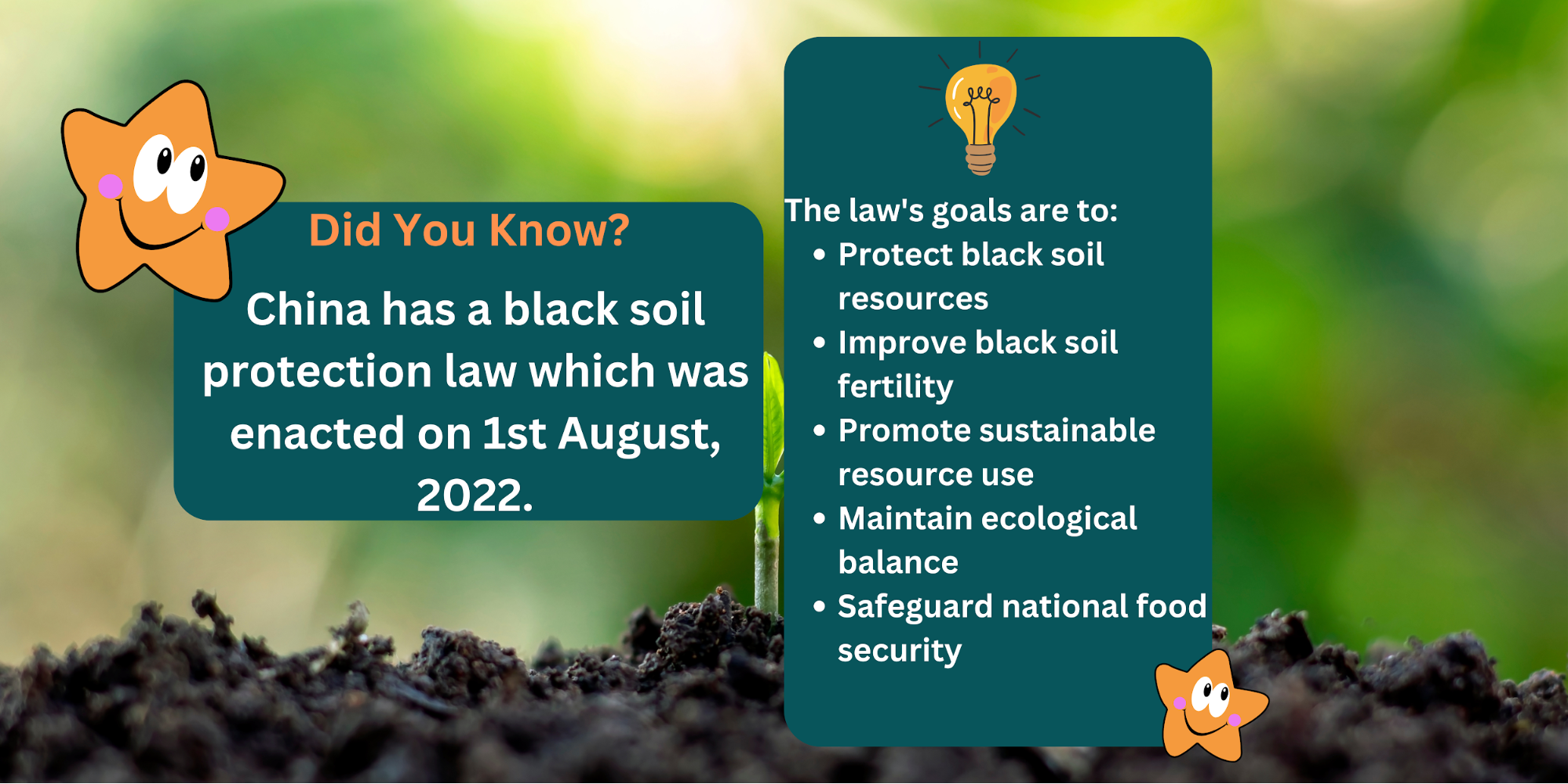 The Stars in Our Soil: The Science Behind Soil Testing — Coalition of ...