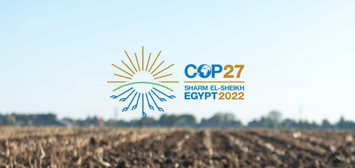 Where to find soil in the decisions from the UNFCCC COP27 — Coalition ...