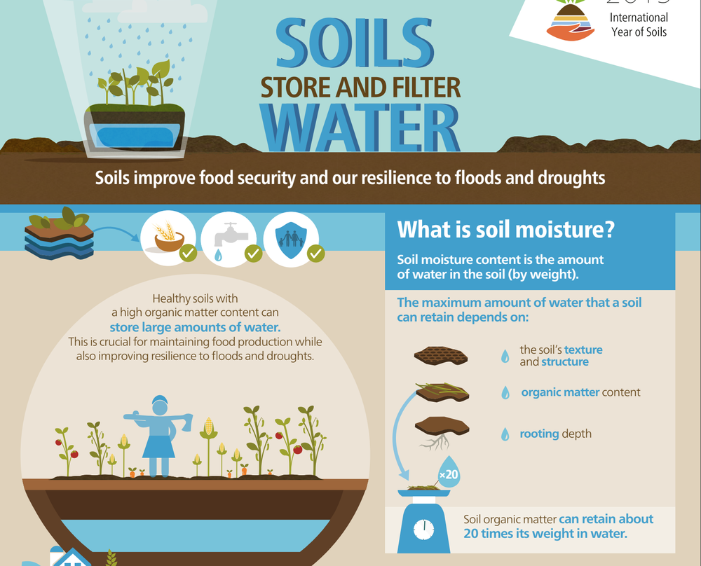 SDG6: Clean Water & Sanitation — Coalition of Action for Soil Health