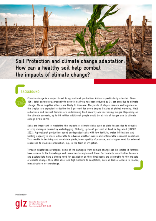 Soil Protection and climate change adaptation: How can a healthy soil ...