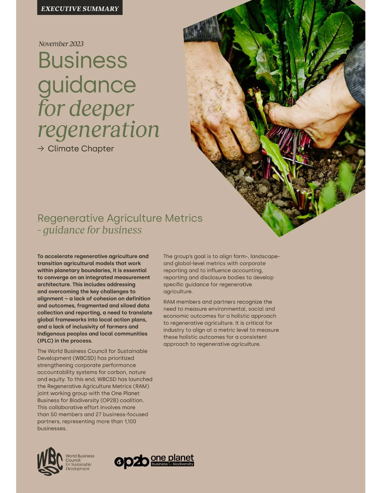 Regenerative Agriculture Metrics Guidance For Business Coalition Of
