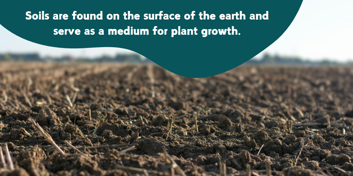 The Stars in our Soil: Understanding Soil — Coalition of Action for ...