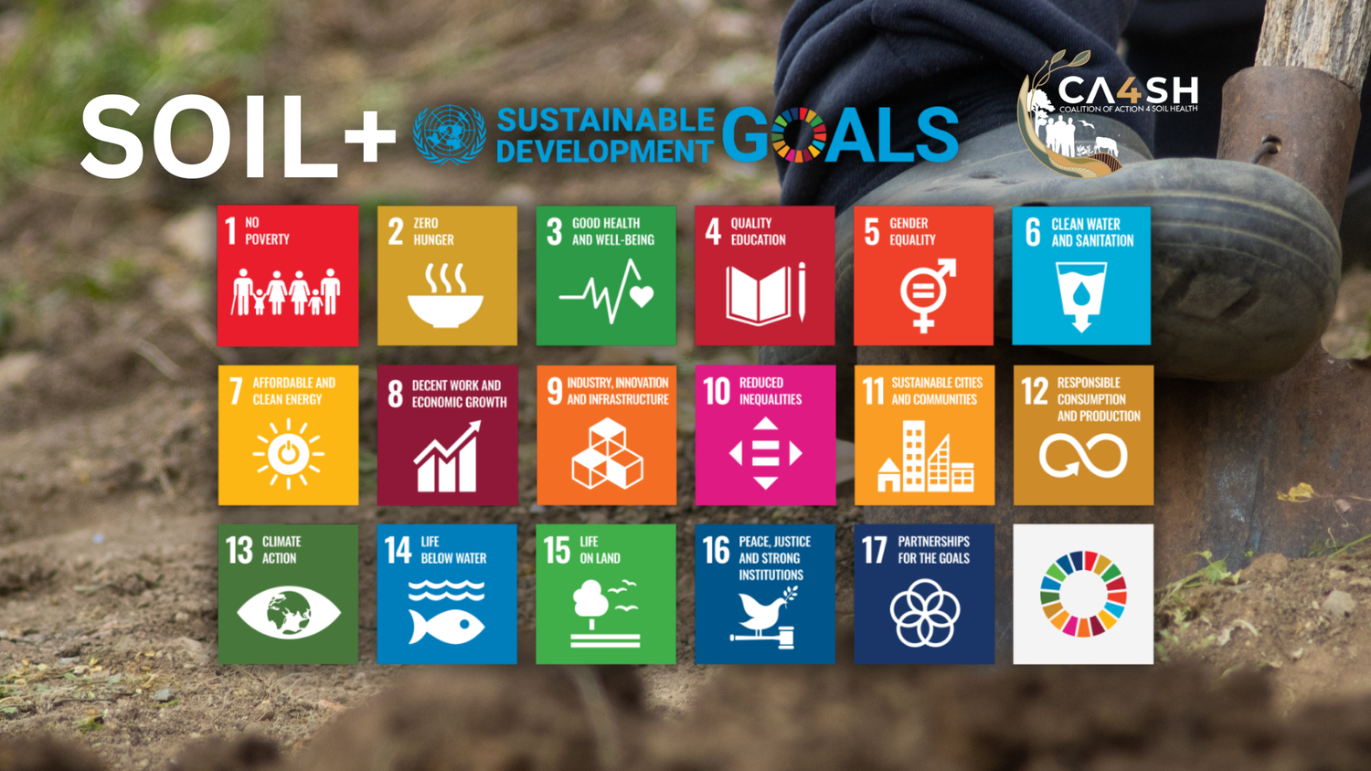 Soil+ the SDGs: the answer lies beneath our feet — Coalition of Action for Soil Health