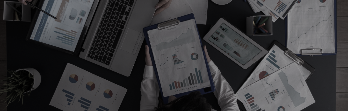 Audit & Assurance Services — Steven M. Apa CPA