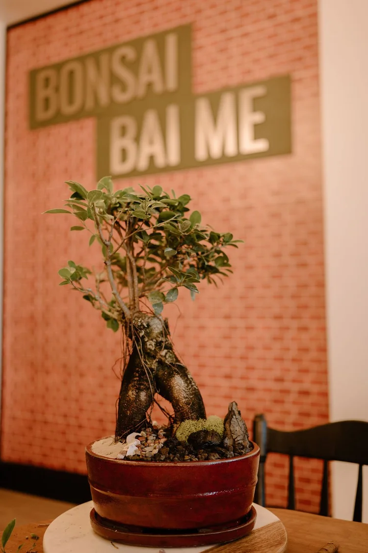 Bonsai Bai Me