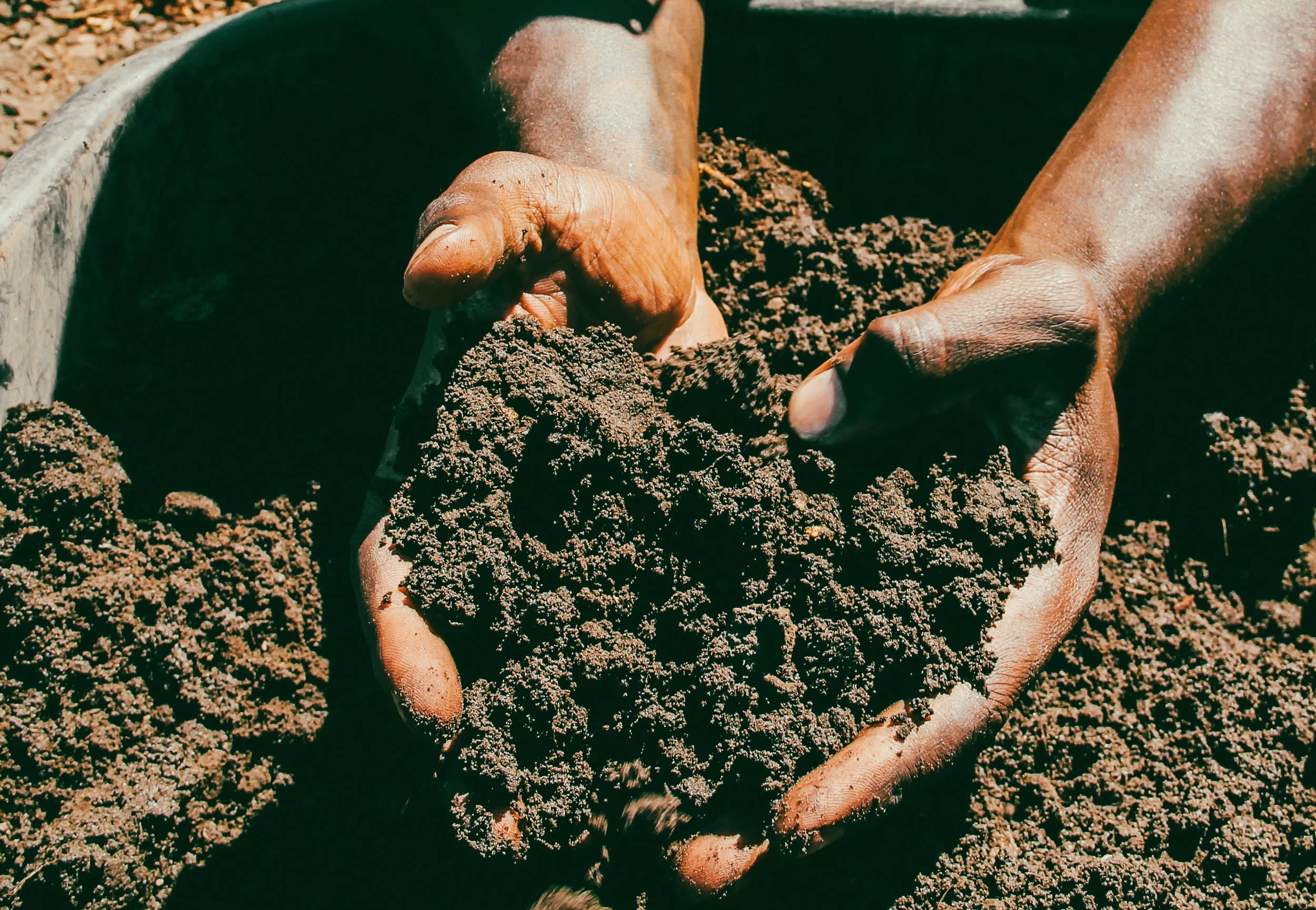 Farming & Activism — Fresh Future Farm