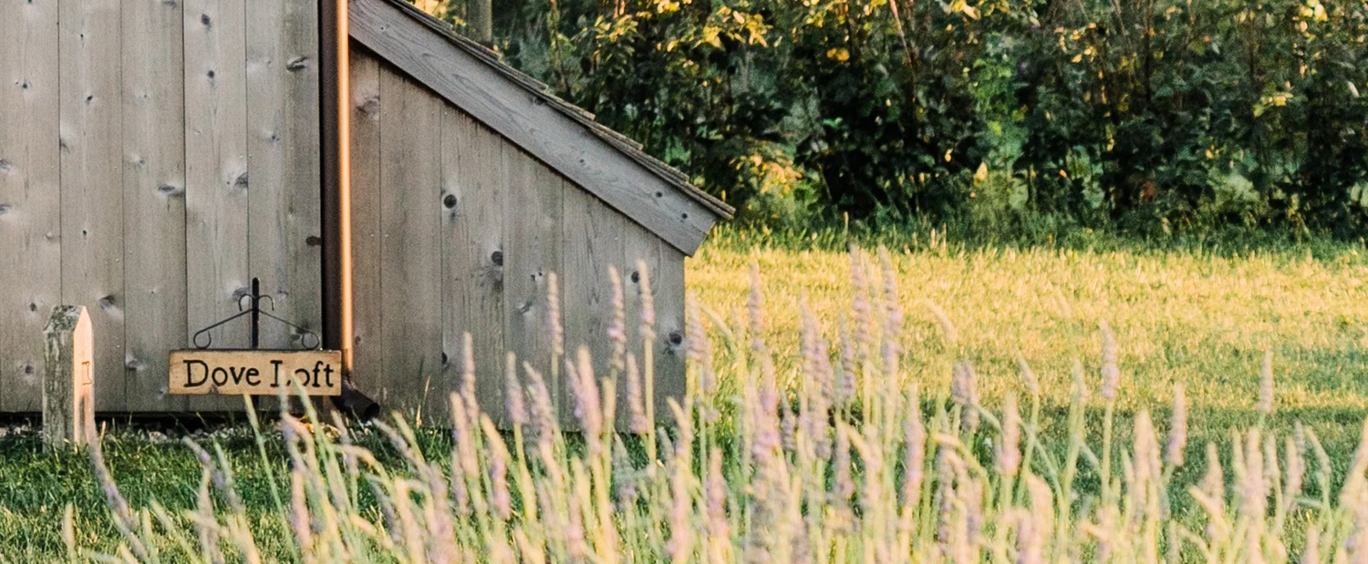 Dove Loft — Salt Air Farm