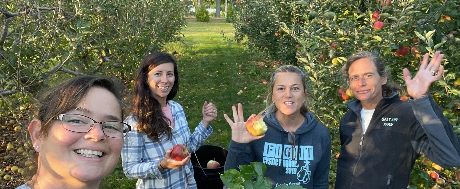 Directions — Salt Air Farm