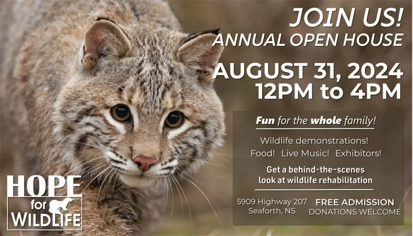 Our Annual Open House — Hope For Wildlife