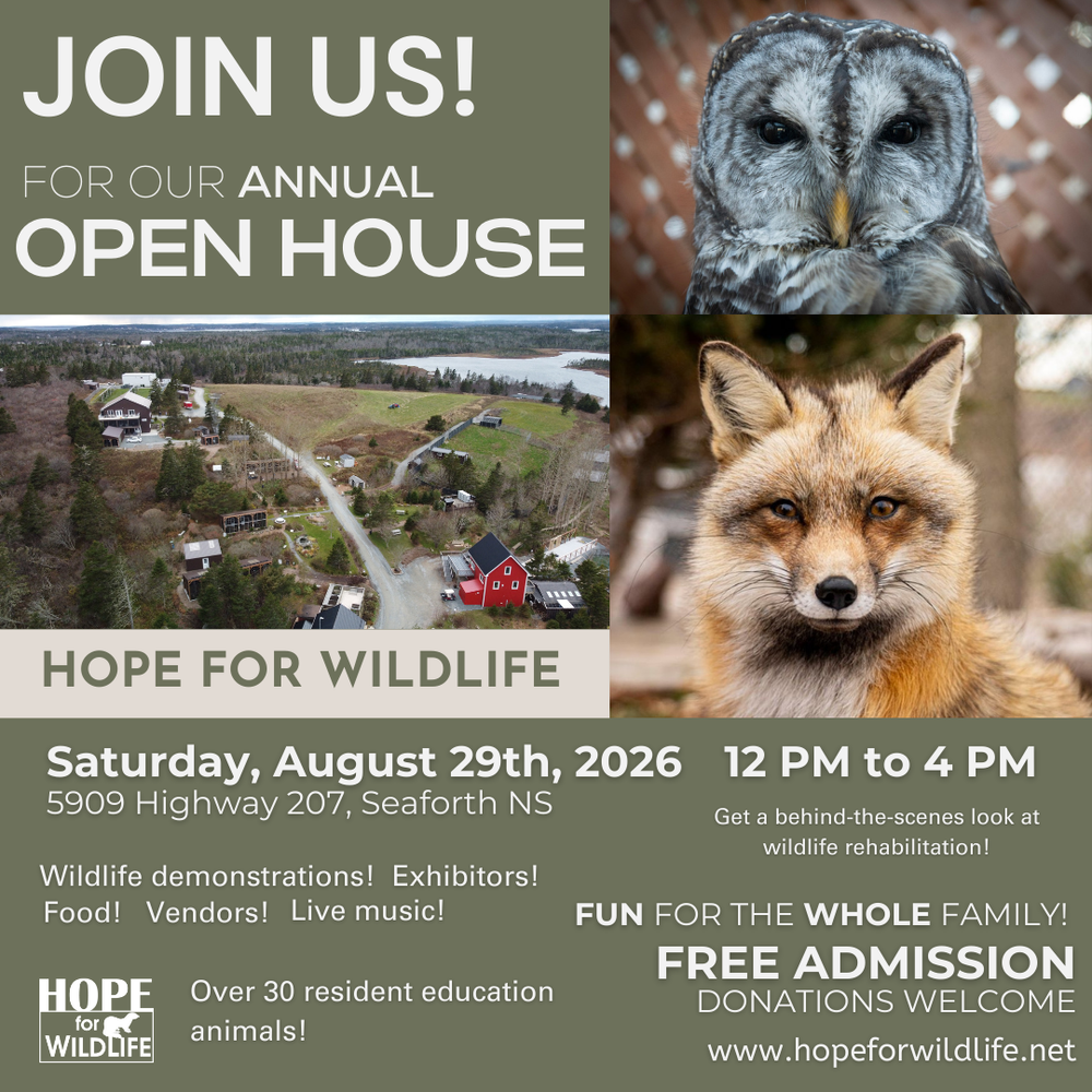 Our Annual Open House — Hope For Wildlife