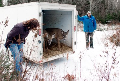 The Hope for Wildlife Mission — Hope For Wildlife