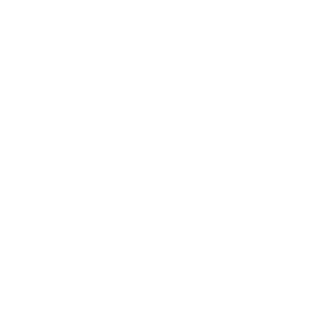 Bos Taurus