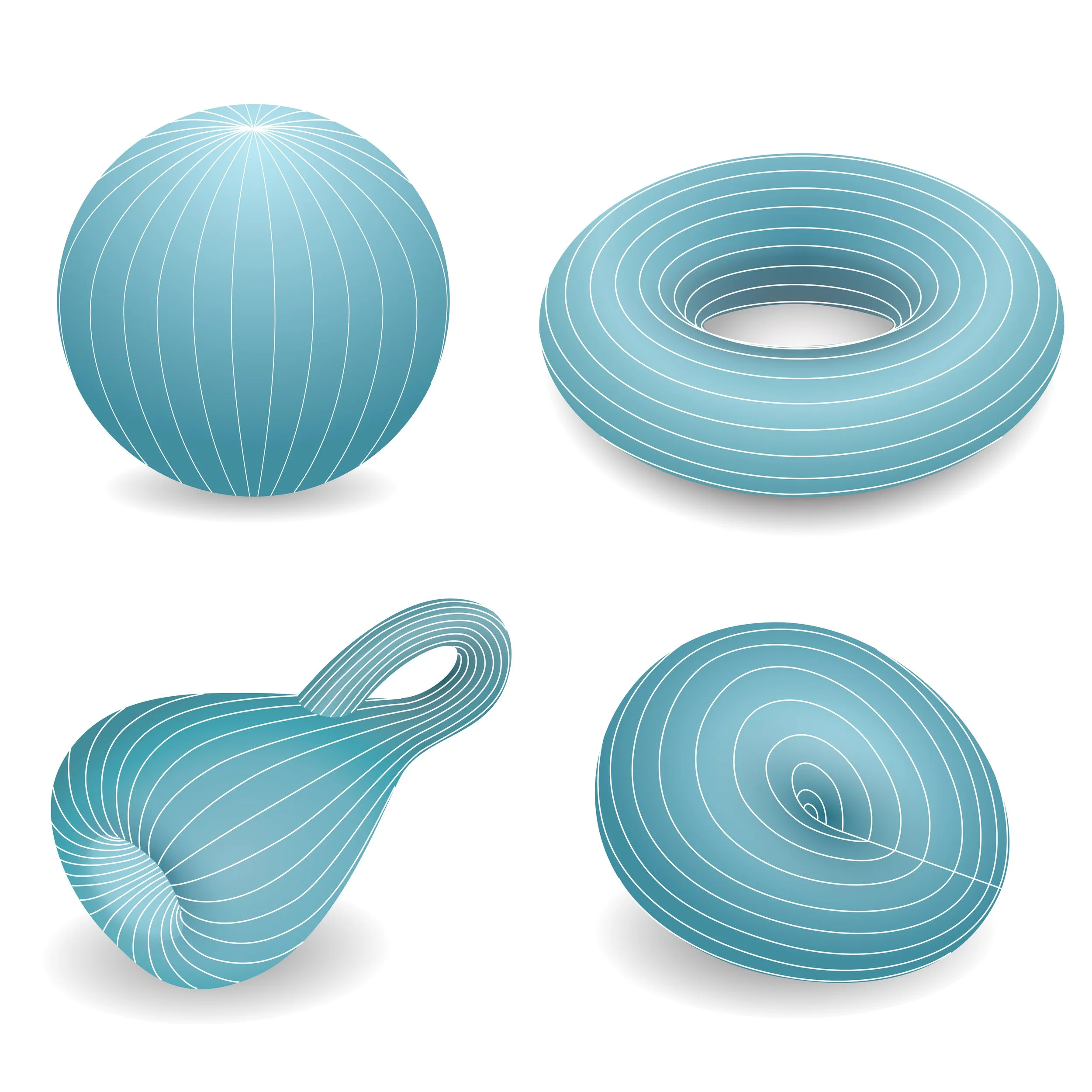 Research — Hormoz Lab