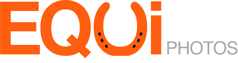 EQUInet MEDIA