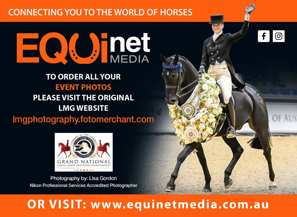Show Horses - Horse Photograhpher — EQUInet MEDIA - Click here to ...