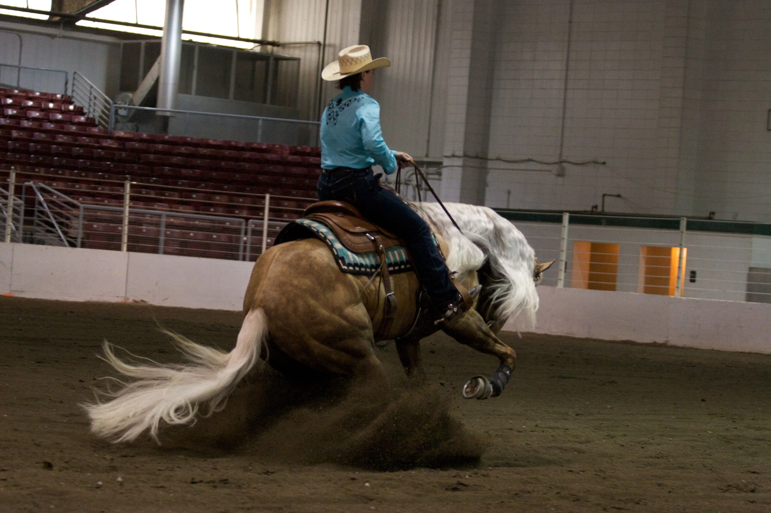 Services 1 — Silver Aspen Ranch