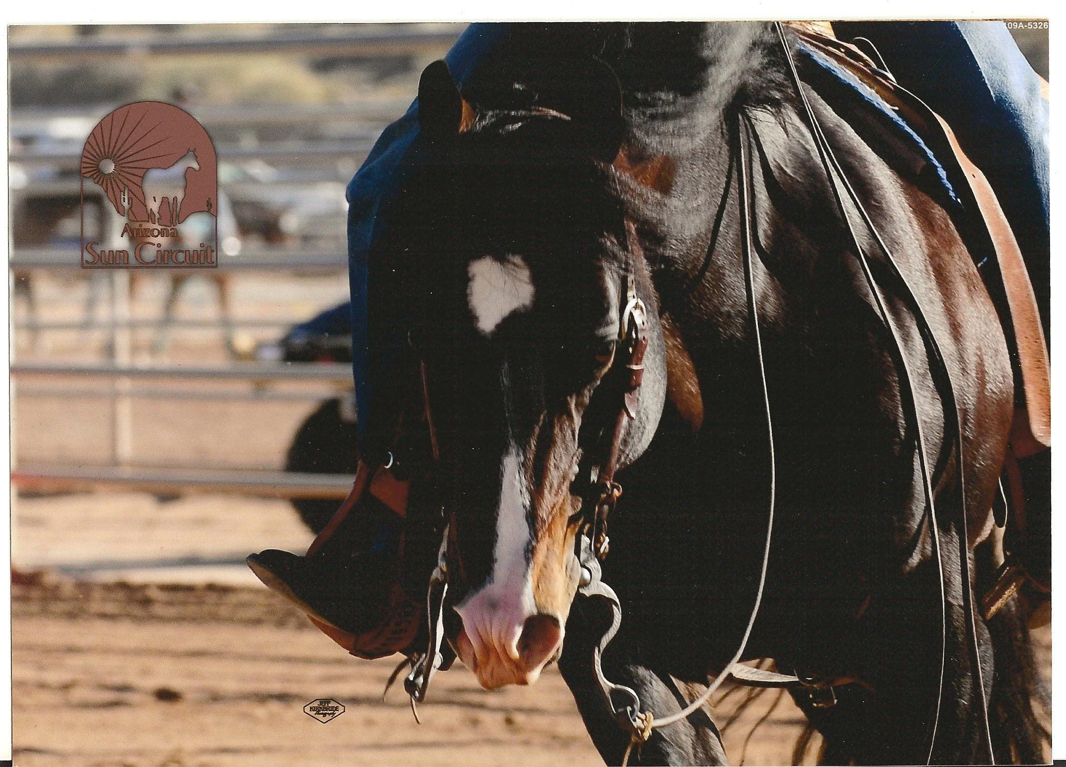 Services 1 — Silver Aspen Ranch