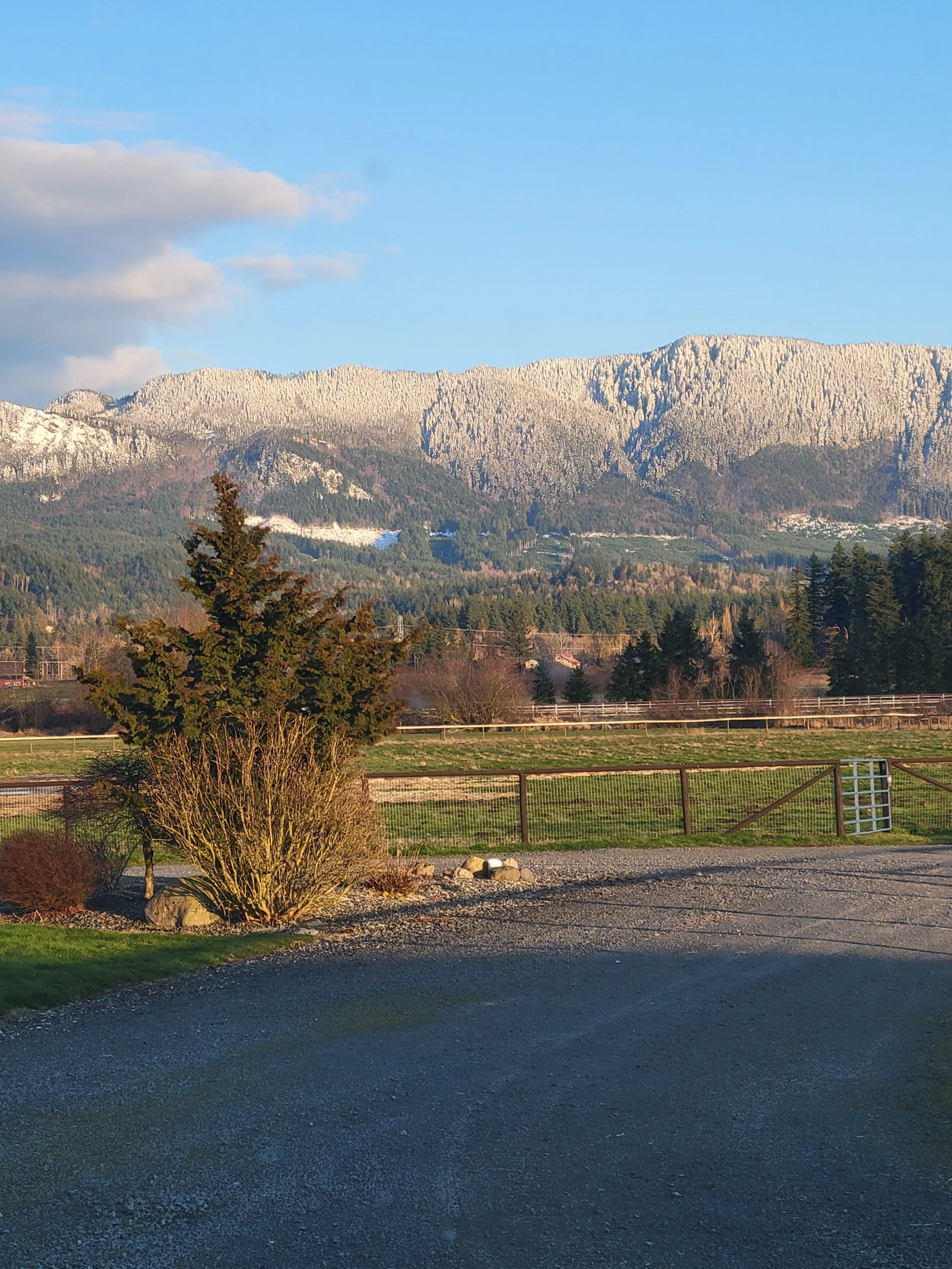 Gallery 1 — Silver Aspen Ranch