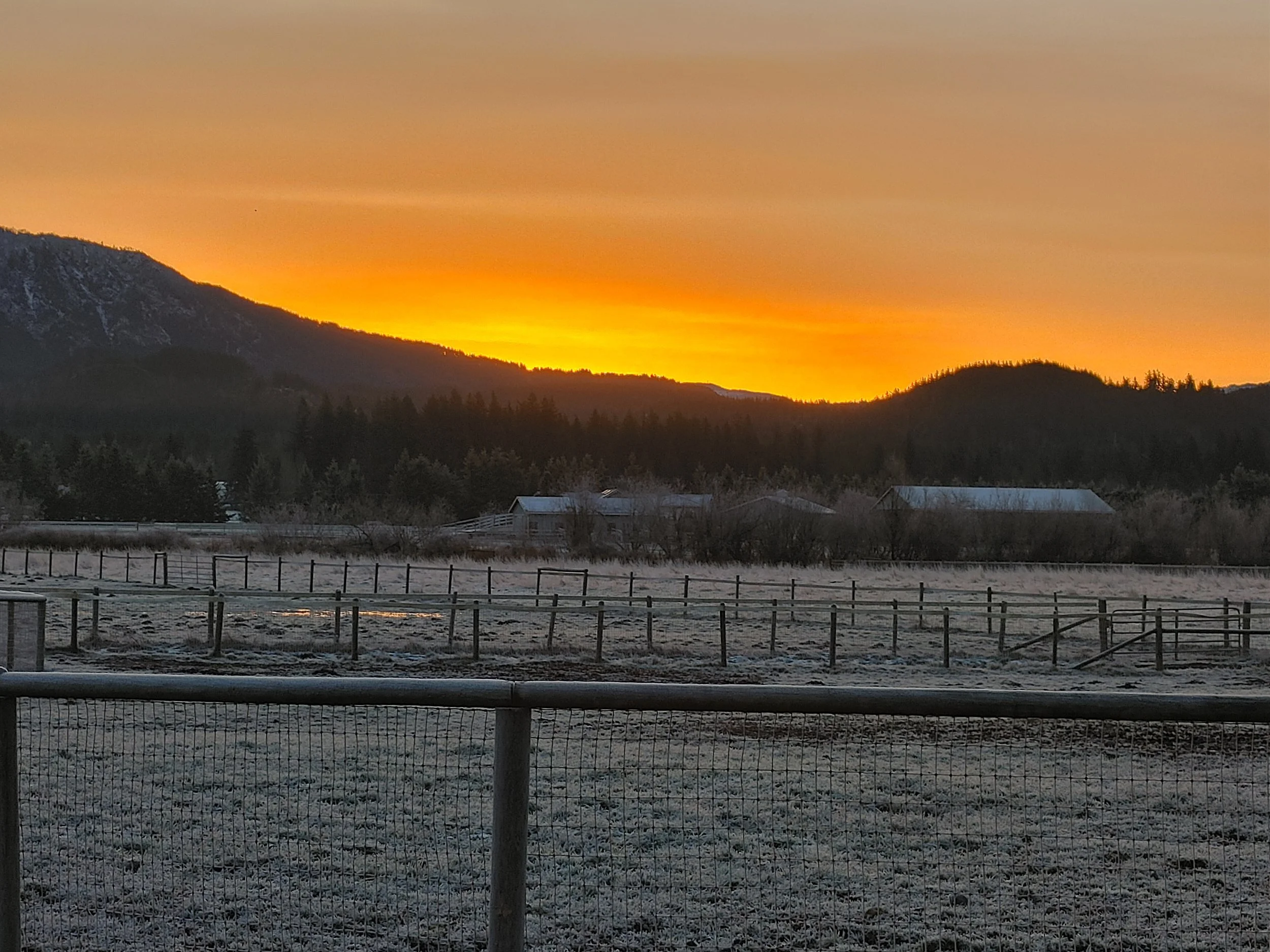 Gallery 1 — Silver Aspen Ranch