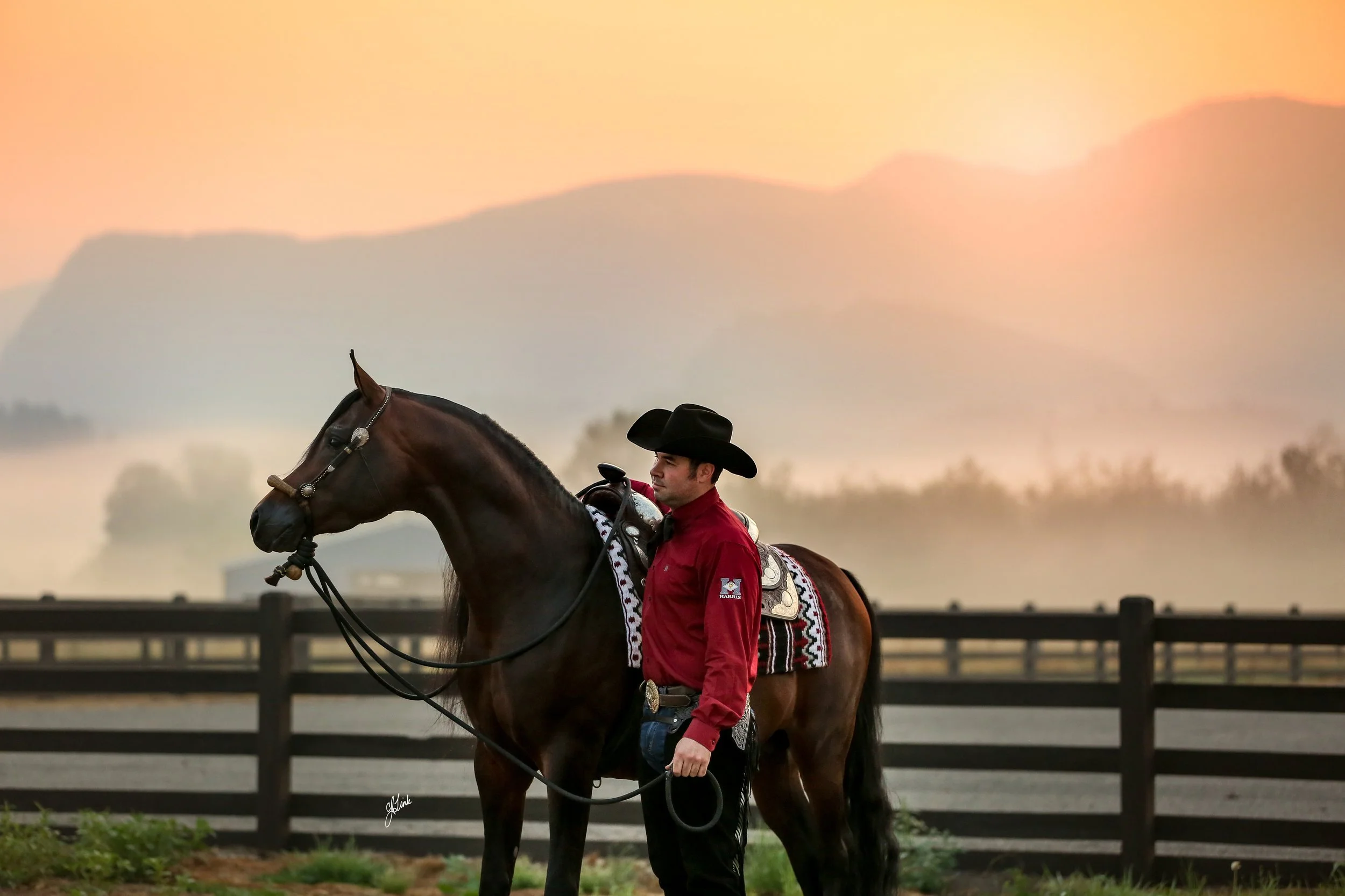 RD Habanero — Silver Aspen Ranch