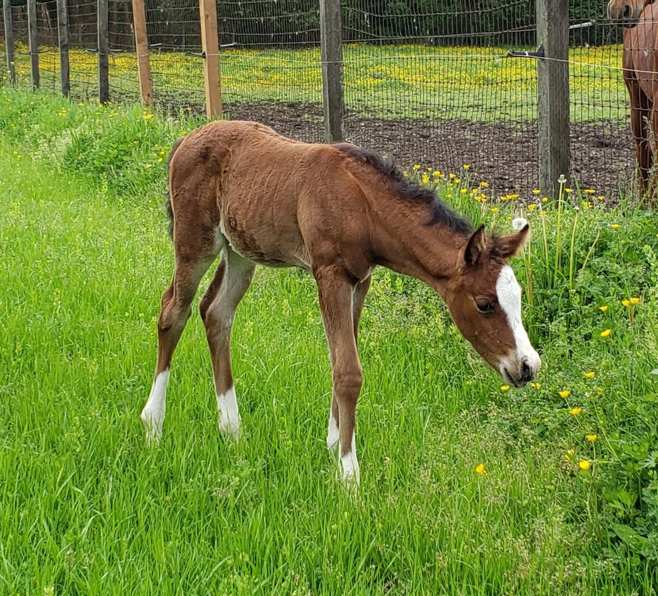 Congratulations — Silver Aspen Ranch