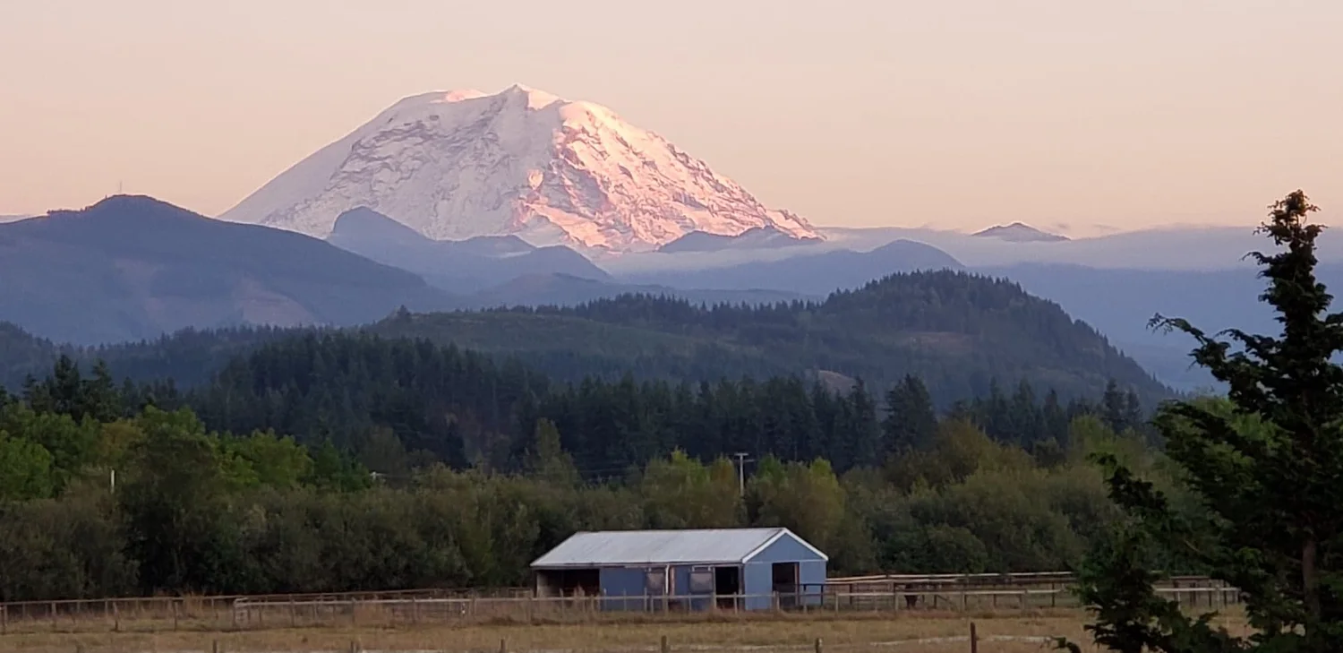 Gallery 1 — Silver Aspen Ranch