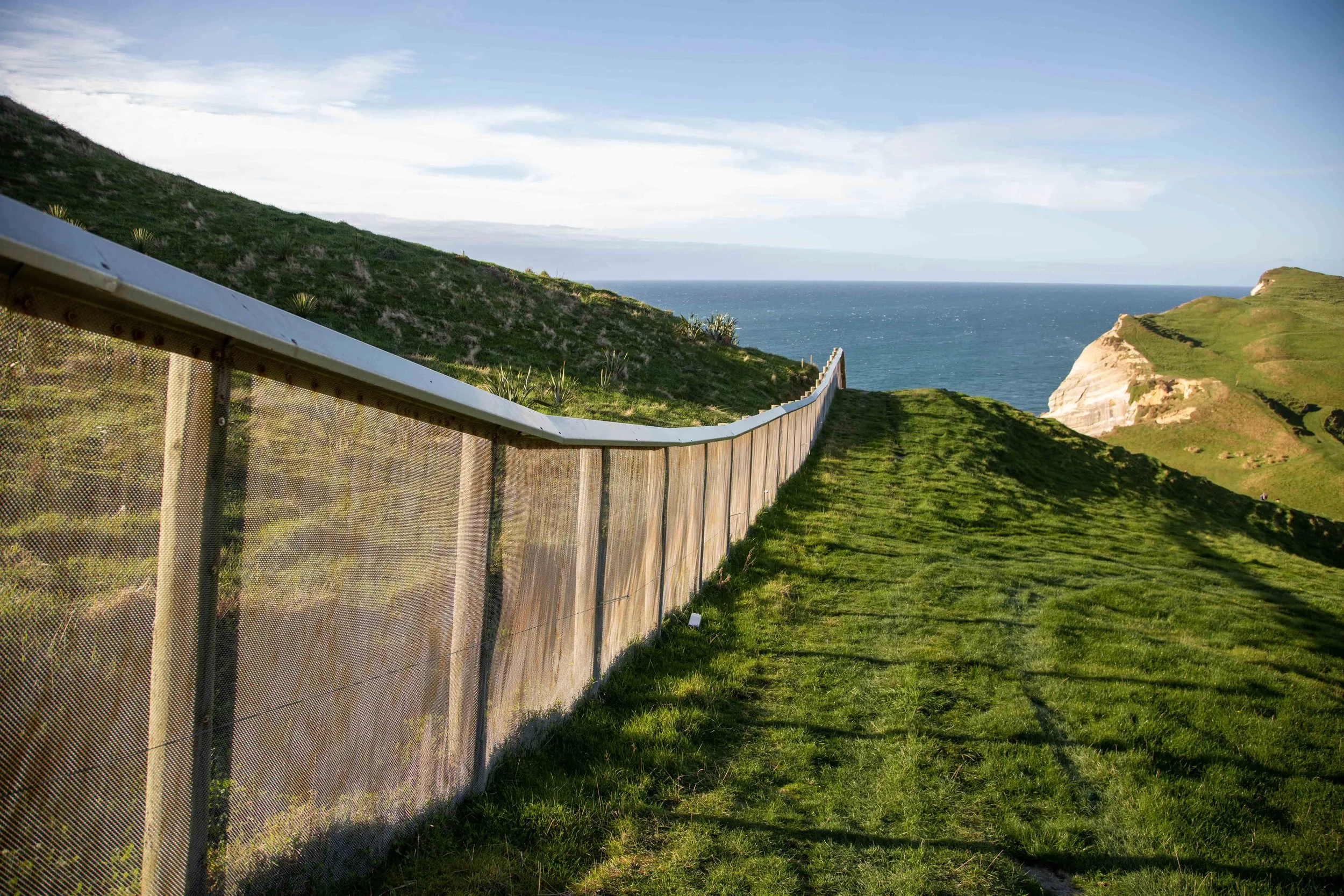 Our Work — HealthPost Nature Trust