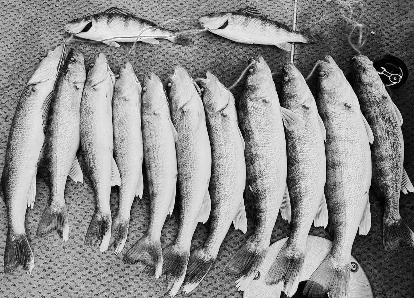 LeadHead Fishing Co.