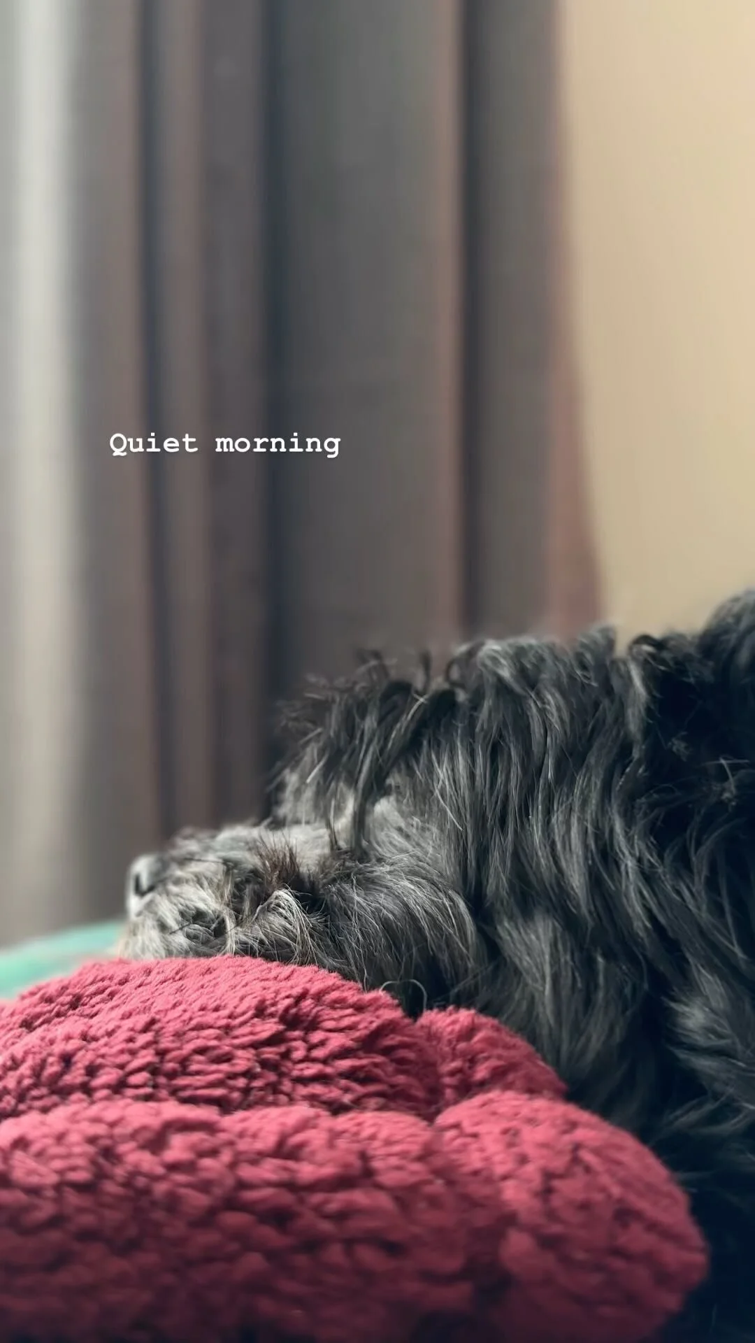 Joy Newcomb | Artist and Wanderer