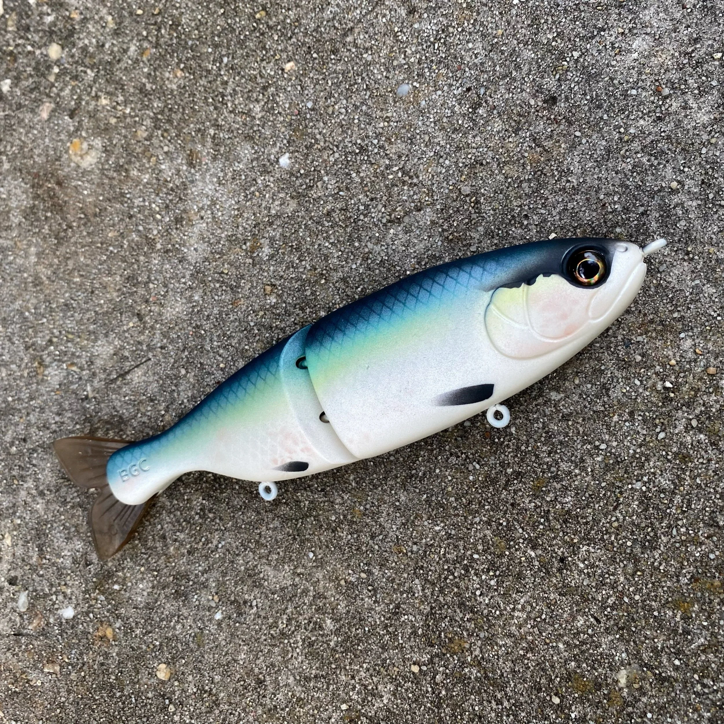 Store 1 — CHOCOLATE SWIMBAITS