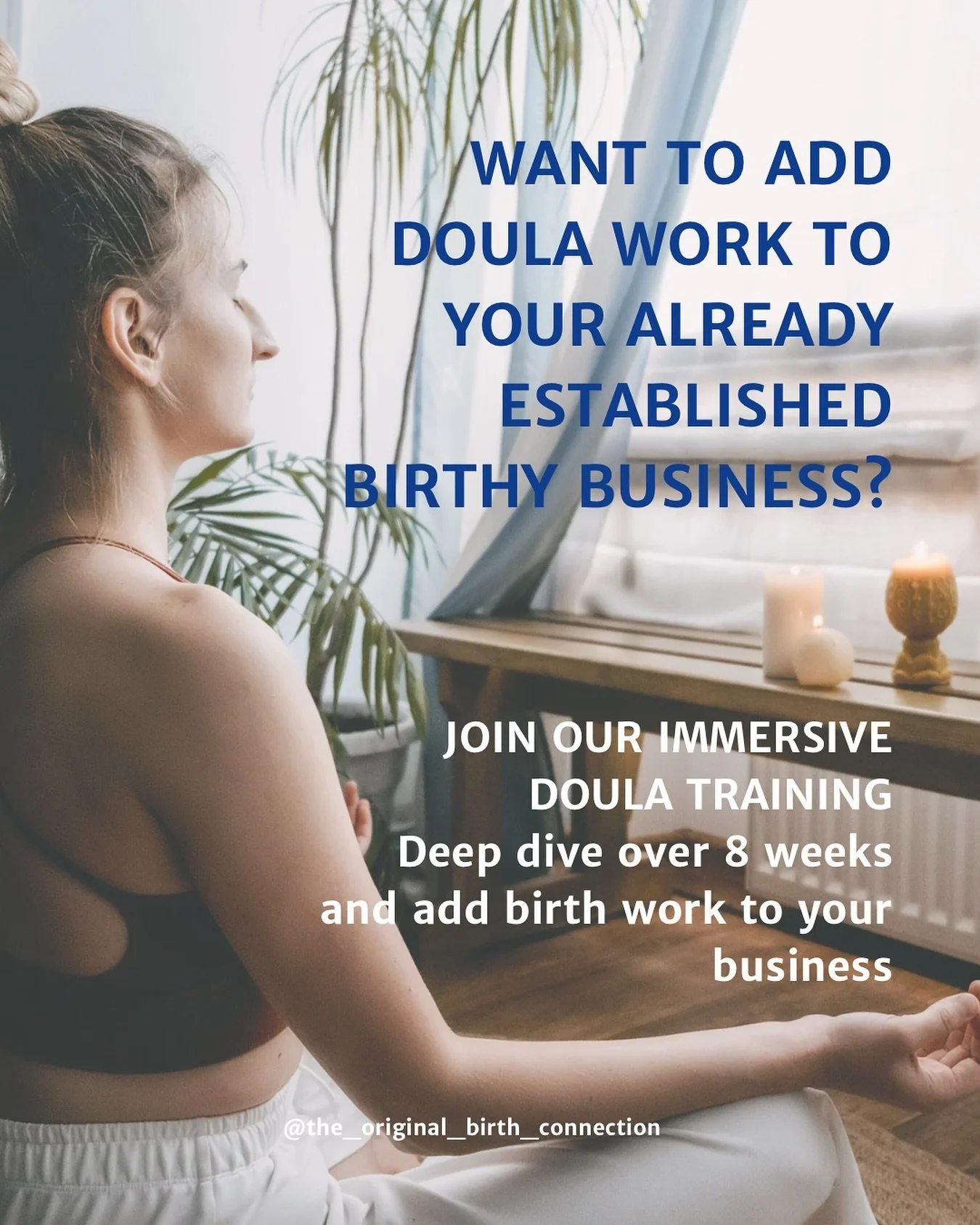 The Original Birth Connection