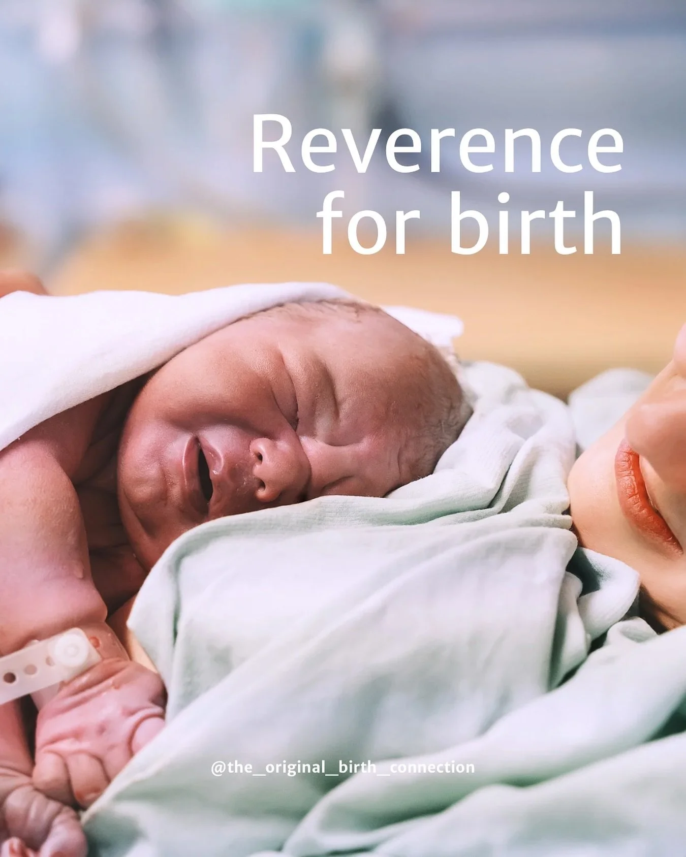 The Original Birth Connection