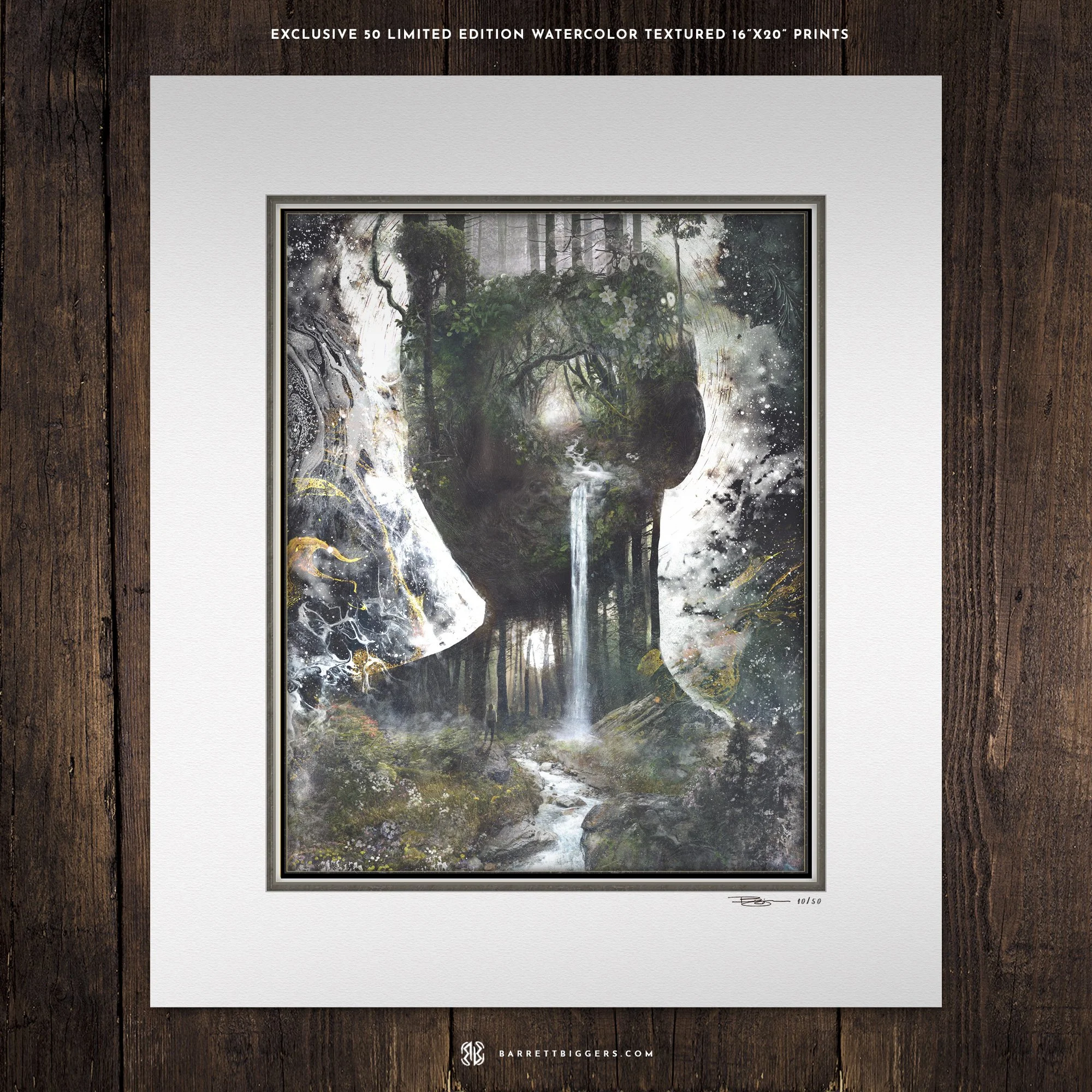 Barrett Biggers Artist