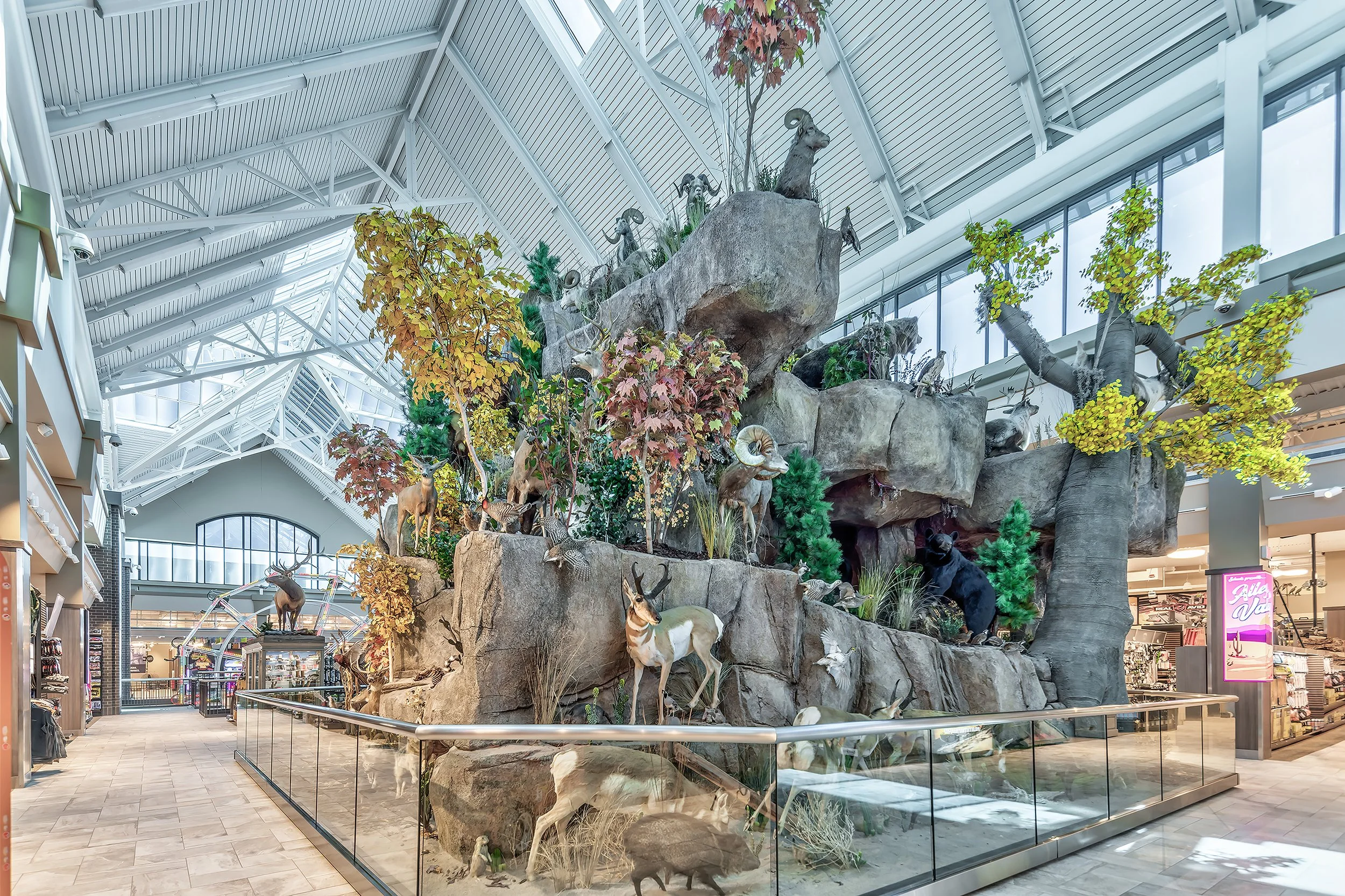 SCHEELS, Chandler — Plenium Builders | Reno Commercial Building and ...