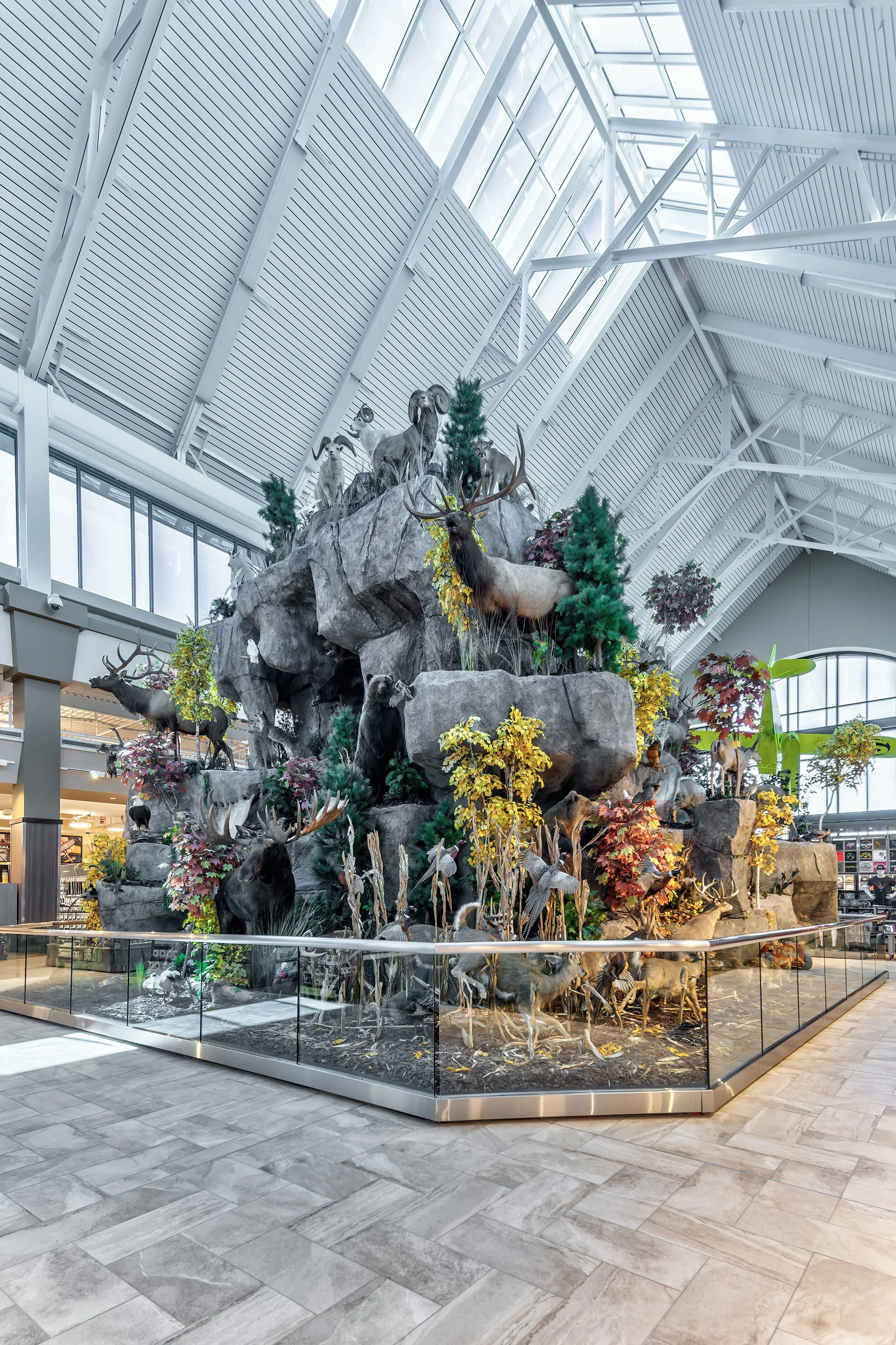 SCHEELS, Chandler — Plenium Builders | Reno Commercial Building and Custom Home Contractor