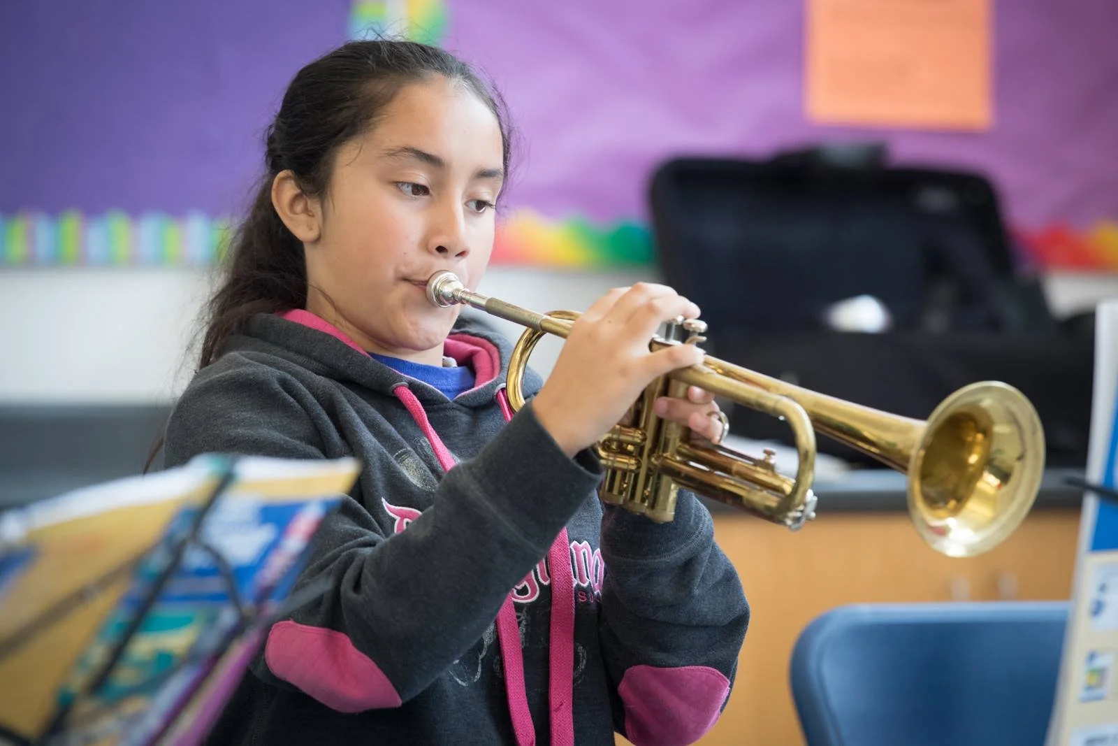 MISSION — ELM Program