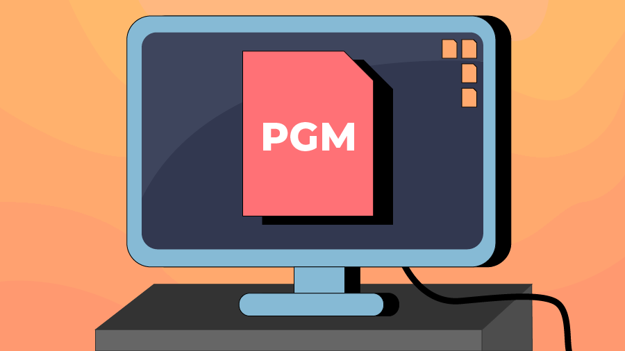 What is a PGM file? - ProShot Media