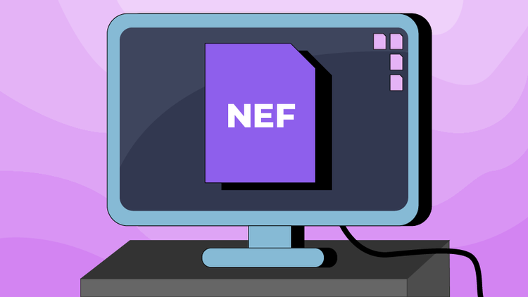 What is a NEF file? - ProShot Media