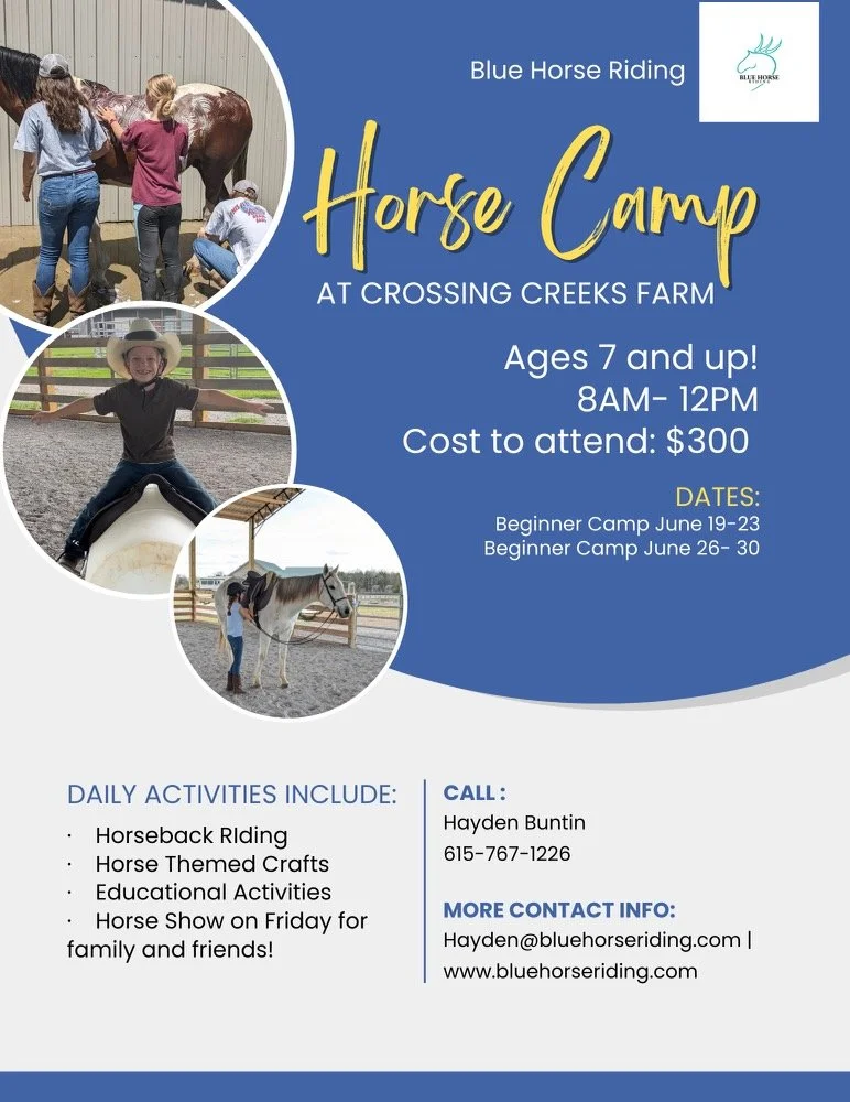 Events — Blue Horse Riding
