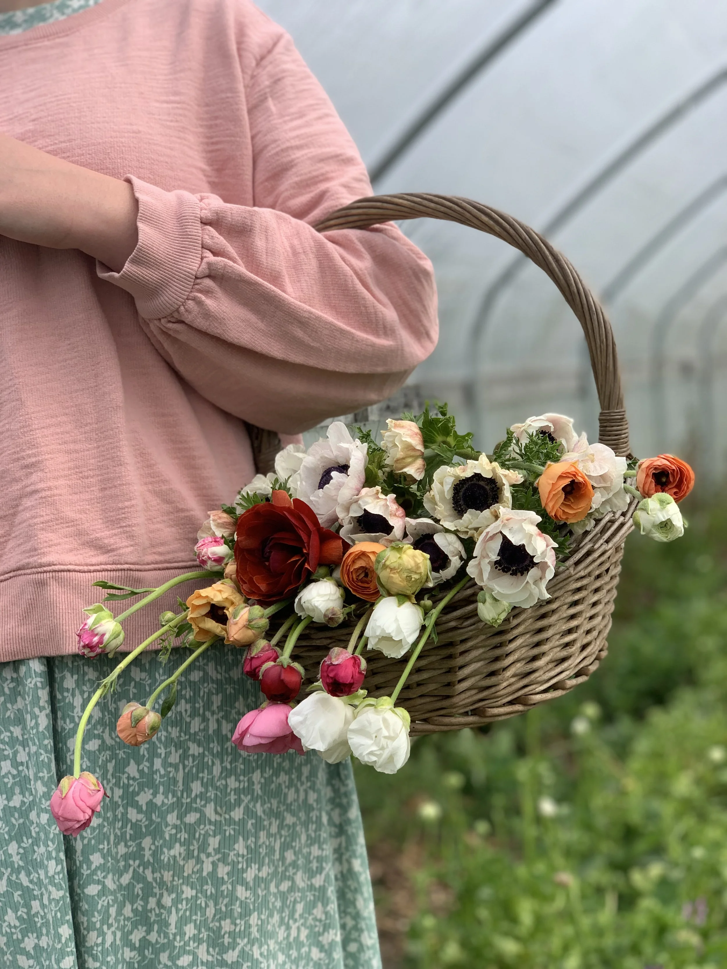 About — Jembe Farms