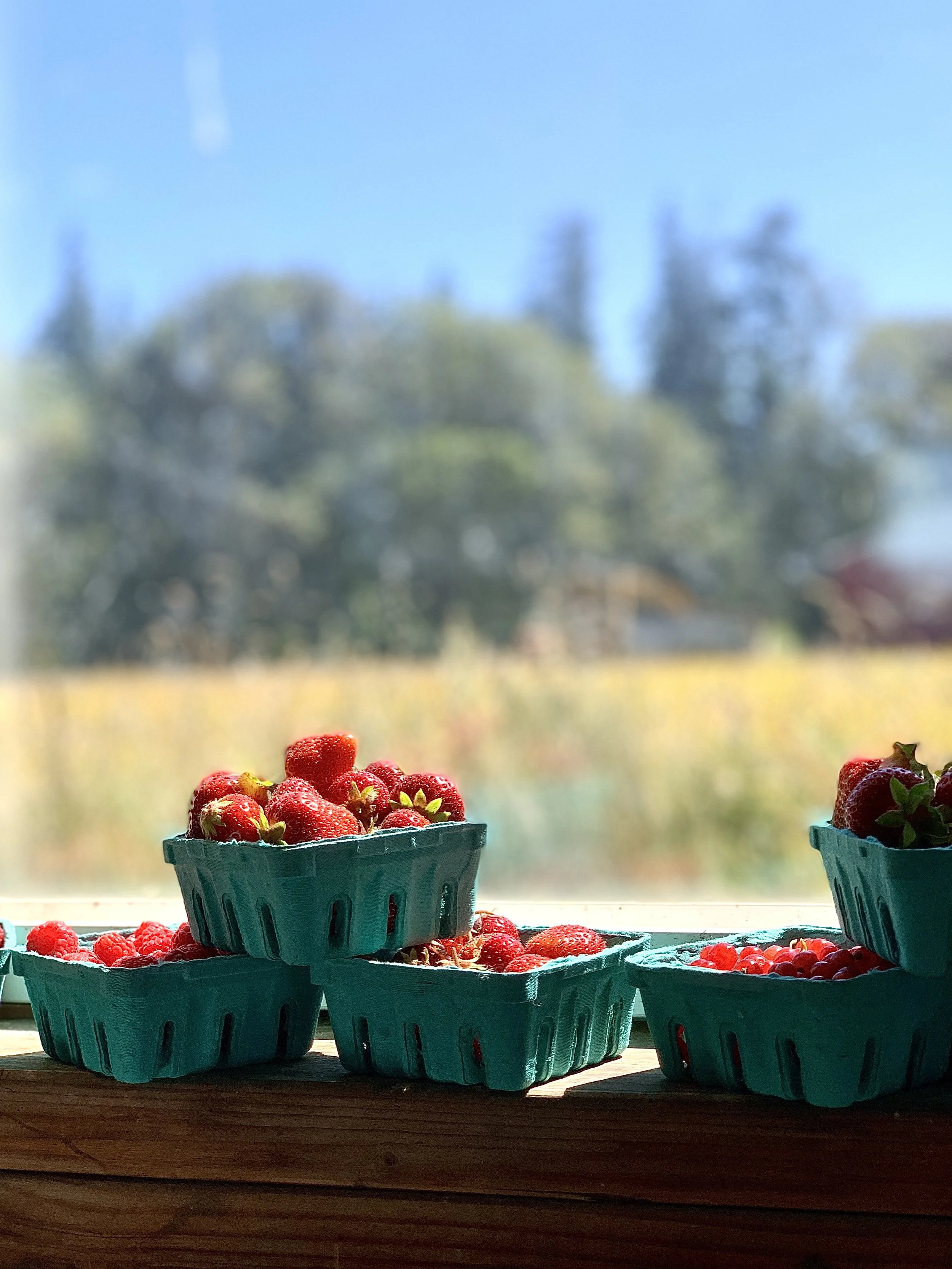 About — Jembe Farms