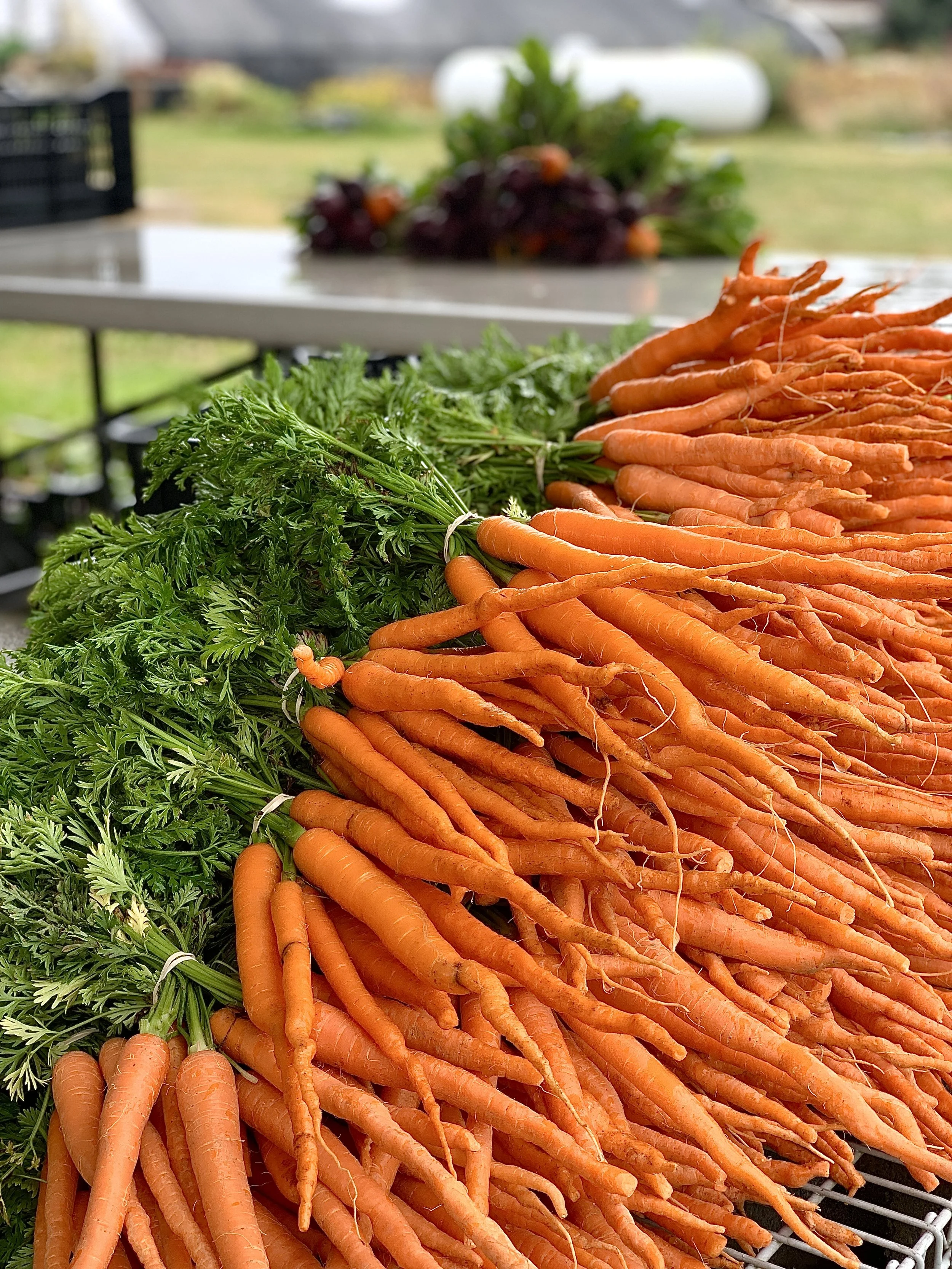 About — Jembe Farms